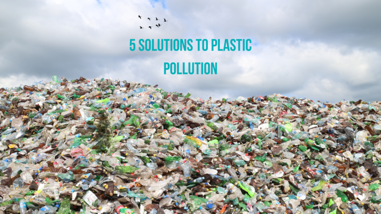 5 Solutions to Plastic Pollution | Contentopia | Plastic Pollution